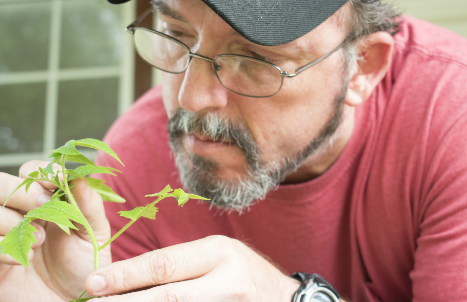 Contact Me – Wayne Thornton Designs